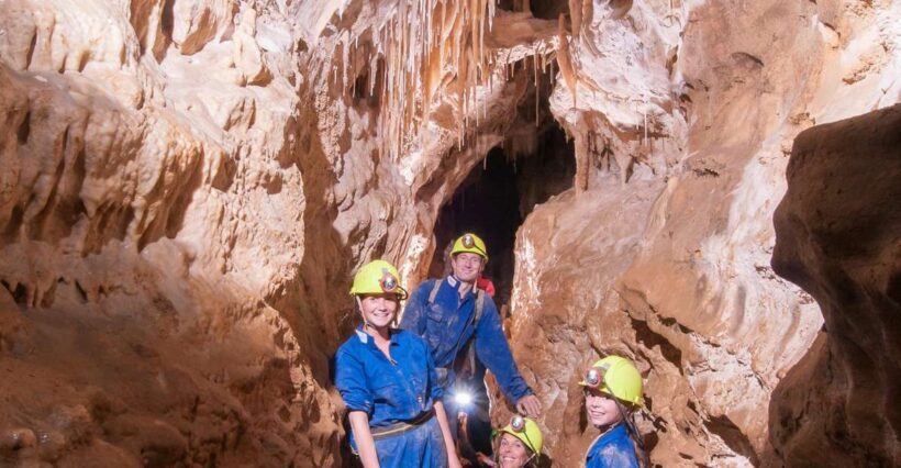 Raglan: Guided Cave Adventure with Glow Worms - An Authentic Underground Experience in New Zealand