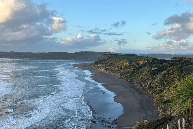 Raglan New Zealand Adventure Tour from Auckland - The Itinerary in Detail: What to Expect