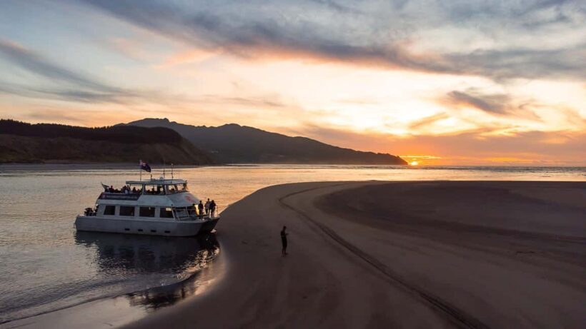 Raglan: Scenic Harbour Sunset Cruise - Raglan: Scenic Harbour Sunset Cruise