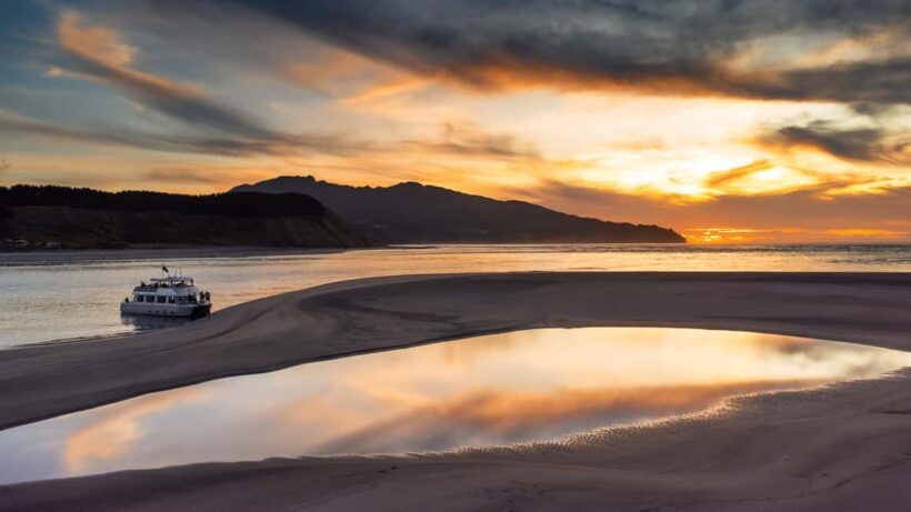 Raglan: Scenic Harbour Sunset Cruise - Key Points