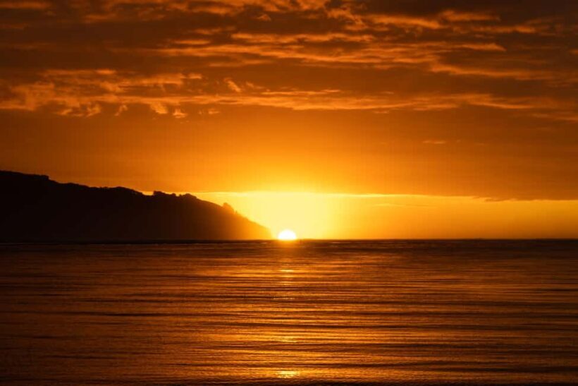 Raglan: Scenic Harbour Sunset Cruise - Authenticity and Local Flavor