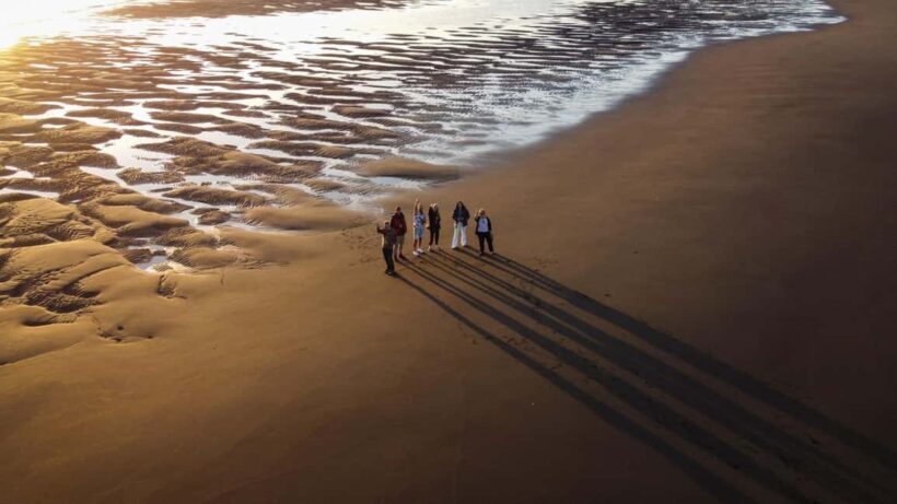 Raglan: Scenic Harbour Sunset Cruise - The Sum Up