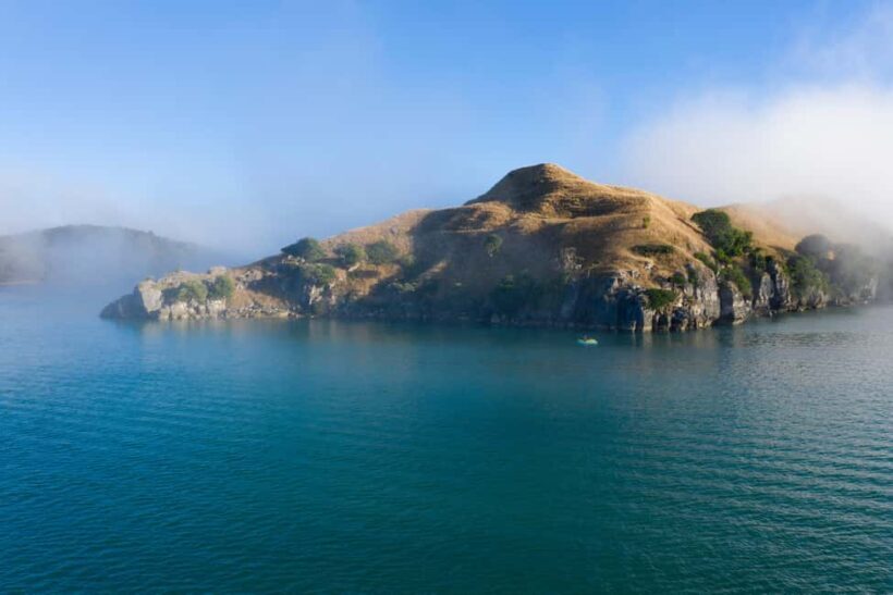 Raglan: Scenic Nature Boat Cruise - An Inviting Introduction to Raglan’s Coastal Wonders