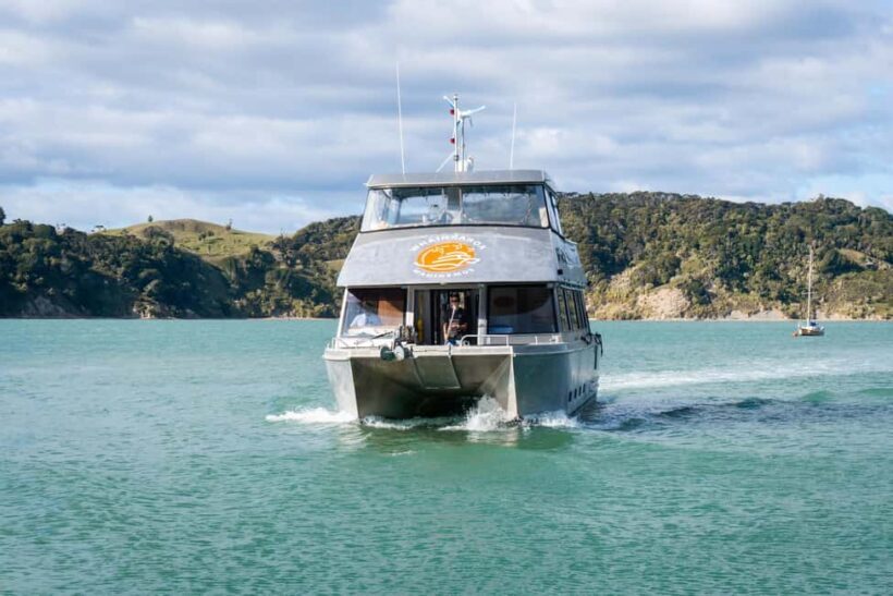 Raglan: Scenic Nature Boat Cruise - Key Points to Remember