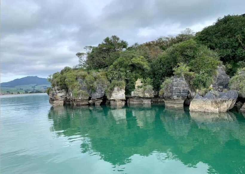Raglan: Scenic Nature Boat Cruise - Practical Details and Recommendations