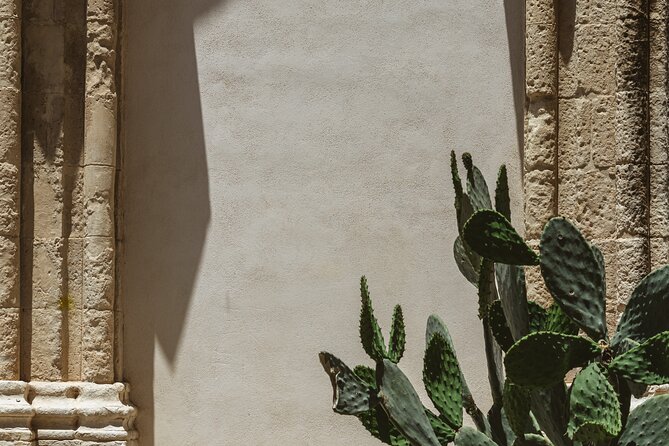 Ragusa Ibla Walking and Photography Tour - Value and Pricing