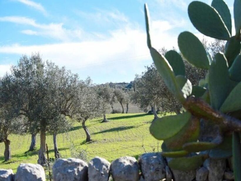 Ragusa: Ricotta Making Expereince at a Farm with Dinner - FAQ