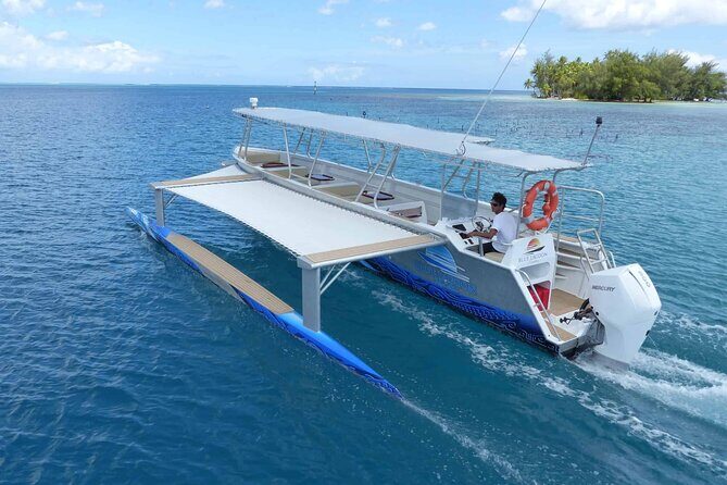 Raiatea-Tahaa Snorkeling in our beautiful Coral Garden - Authentic Experiences and Real Traveler Feedback