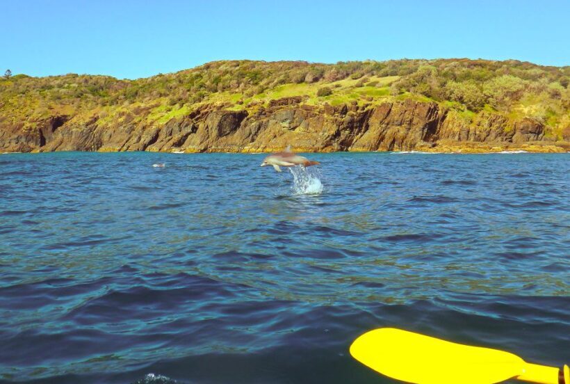 Rainbow Beach: Kayaking with Dolphins and Beach 4WD Tour - Key Points