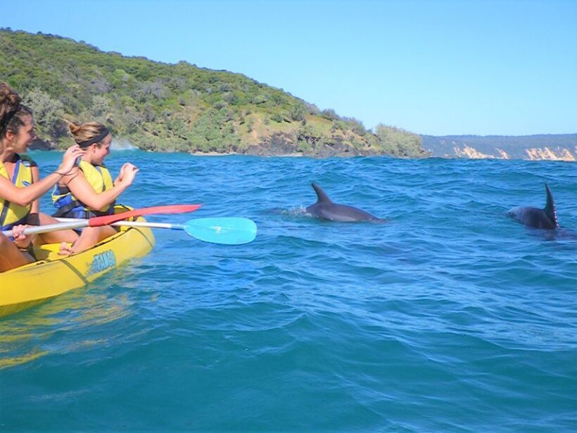 Rainbow Beach: Kayaking with Dolphins and Beach 4WD Tour - An In-Depth Look at the Tour Experience