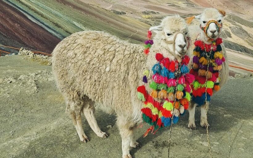 Rainbow Mountain Trek 1 Day - An In-Depth Look at the Rainbow Mountain Trek