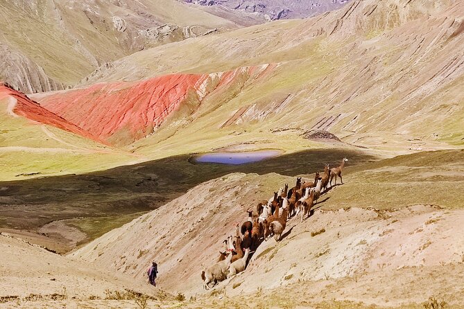 Rainbow Mountains of Palccoyo (Day Trip) - Customer Feedback