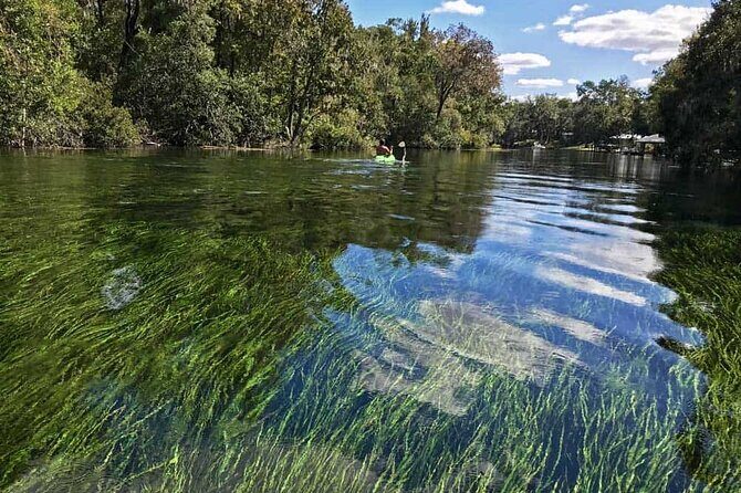 Rainbow River: 8AM & 3PM Snorkel or Scenic Wildlife Cruise - Discovering Rainbow River: An Authentic Florida Experience