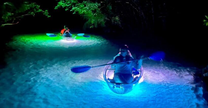 Rainbow Springs: Clear Kayak Sunset & Glow Tour - An Innovative Way to Explore Rainbow River