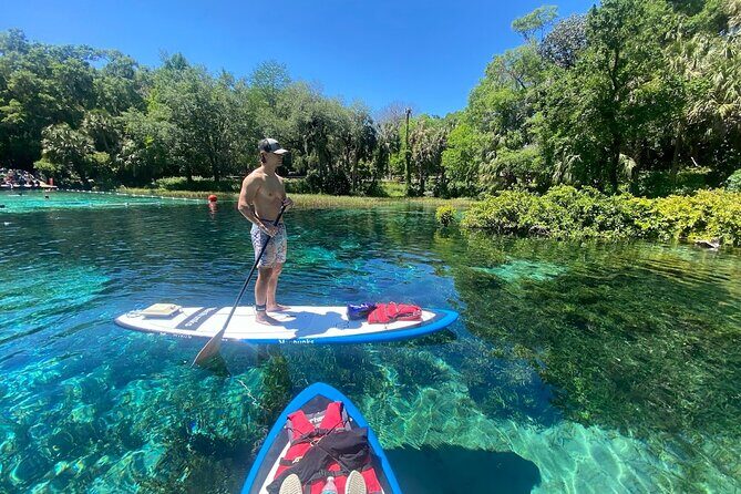 Rainbow Springs Electric Paddle Board Rentals - Who Will Love This?