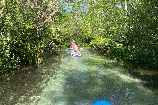 Rainbow Springs Electric Paddle Board Rentals - Frequently Asked Questions