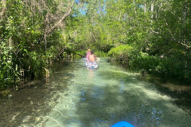 Rainbow Springs Electric Paddle Tour - Key Points