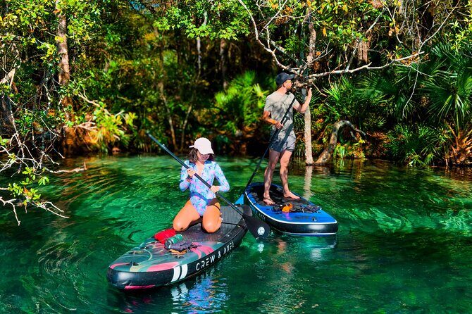 Rainbow Springs Paddle Adventure - Introduction: Why Consider the Rainbow Springs Paddle Adventure?