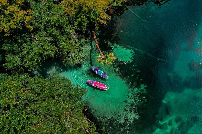Rainbow Springs Paddle Adventure - The Sum Up: Who Should Book This Tour?