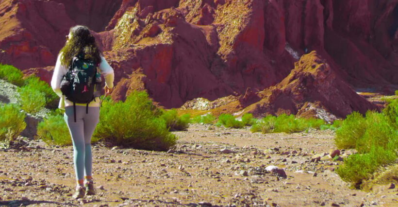 Rainbow Valley Tour: Mesmerizing Colors and Flavors - Uncovering Ancient Stories: Petroglyphs