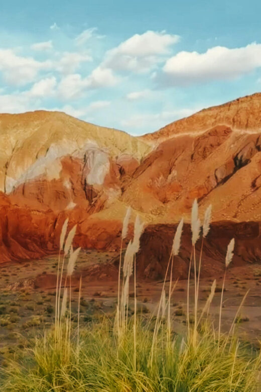 Rainbow Valley Tour: Mesmerizing Colors and Flavors - FAQ