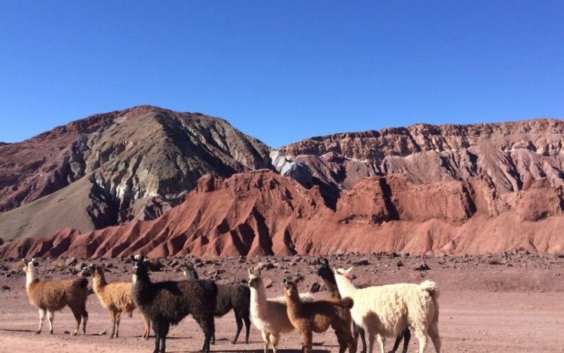 Rainbow Valley Tour + Petroglyphs (Yerbas Buenas) - What Makes This Experience Valuable?