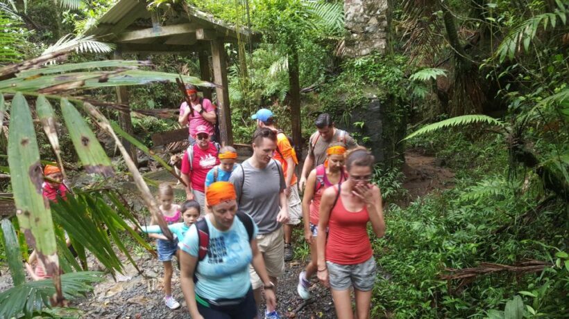 Rainforest Adventure - Key Points