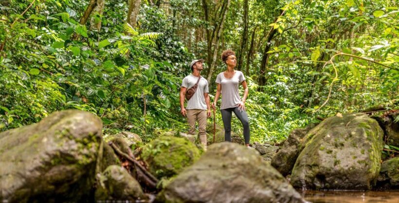 Rainforest Adventure - Introduction: What to Expect from the Rainforest Adventure