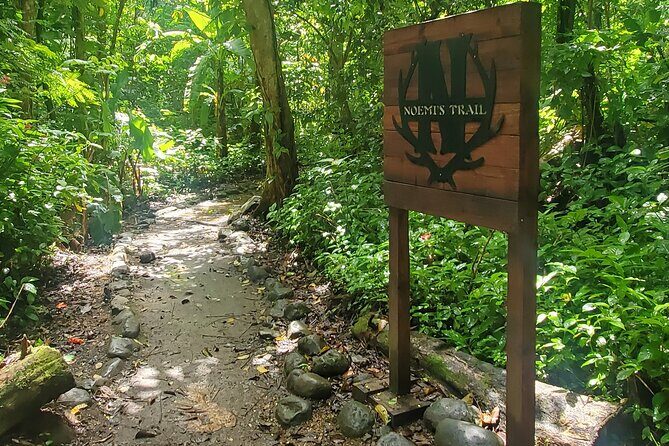 Rainforest and Junglequi Zipline Combo Tour - FAQ