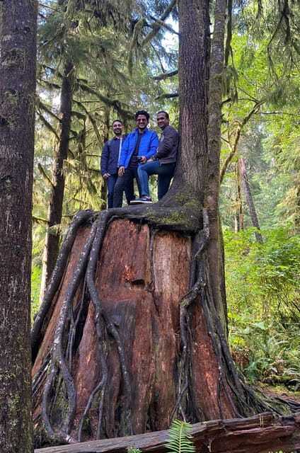 Rainforest and Olympic National Park Highlights - What Makes This Tour Stand Out?