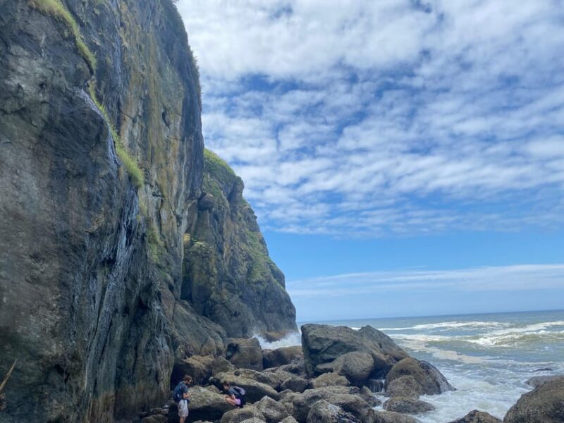 Rainforest and Olympic National Park Highlights - The Day’s Itinerary – A Closer Look