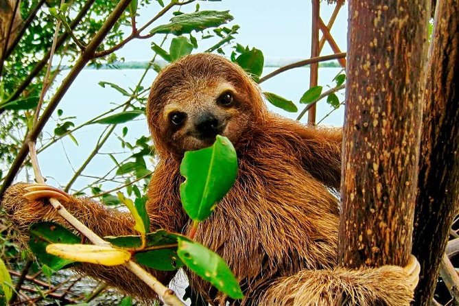 Rainforest Bijagua Ranas Costa Rica Excursions Travels - Key Points