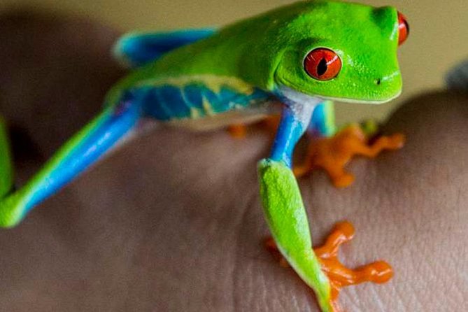 Rainforest Bijagua Ranas Costa Rica Excursions Travels - Pickup and Meeting Information