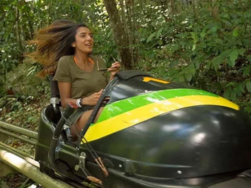 Rainforest Bobsled Mystic Mountain transportation - Key Points