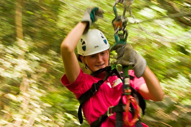 Rainforest Canopy Adventure from Vieux Fort or North Island, St Lucia - Key Points