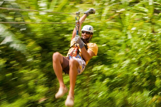 Rainforest Canopy Adventure from Vieux Fort or North Island, St Lucia - Authentic Experiences from Reviews