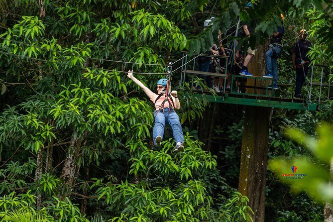Rainforest Canopy Adventure from Vieux Fort or North Island, St Lucia - Value and Practicality