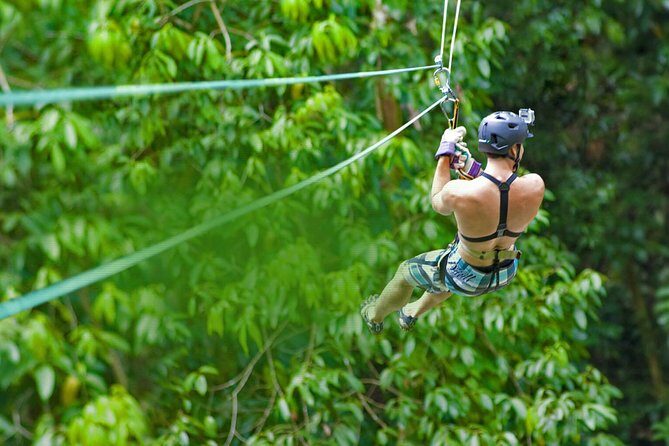 Rainforest Canopy Adventure from Vieux Fort or North Island, St Lucia - Who Should Book This Tour?