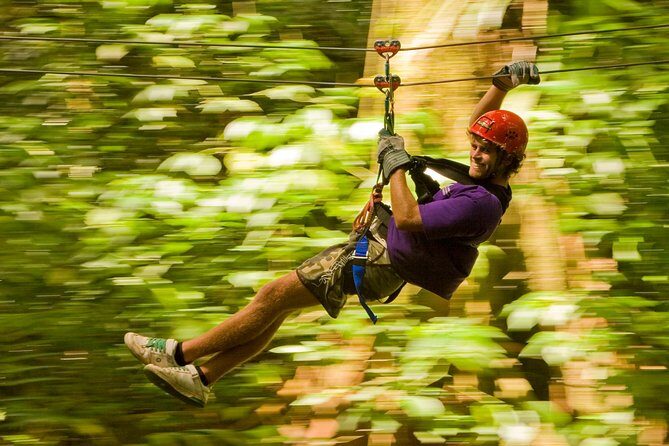 Rainforest Canopy Adventure from Vieux Fort or North Island, St Lucia - The Sum Up