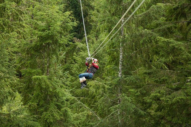 Rainforest Canopy & Zipline Adventure in Ketchikan, AK - Key Points
