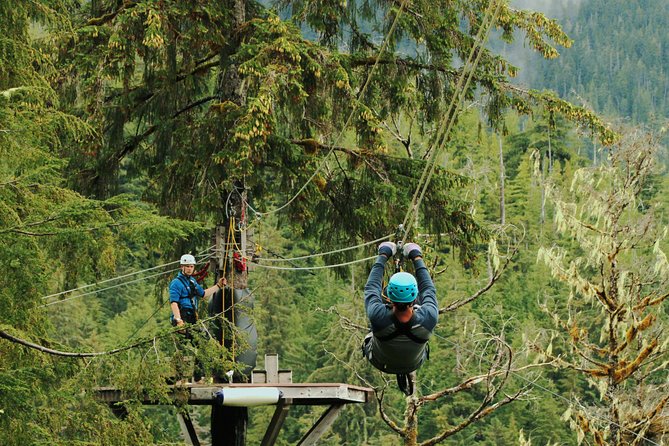 Rainforest Canopy & Zipline Adventure in Ketchikan, AK - The Value and Cost: Is It Worth It?