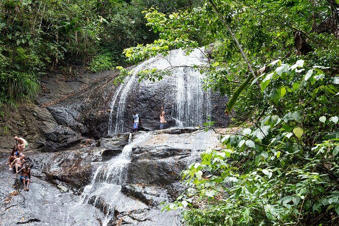 Rainforest Hike and Waterfall Safari - An Honest Look at the Rainforest Hike and Waterfall Safari in Saint Lucia