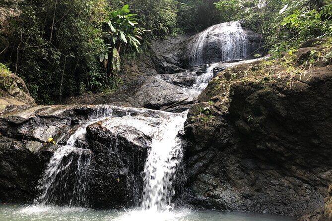 Rainforest Hike and Waterfall Safari - Exploring the Itinerary in Detail