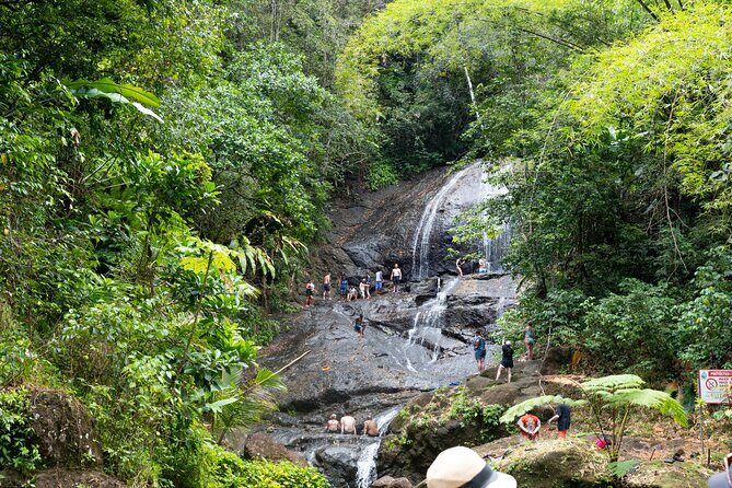 Rainforest Hike and Waterfall Safari - What You Need to Know Before Booking