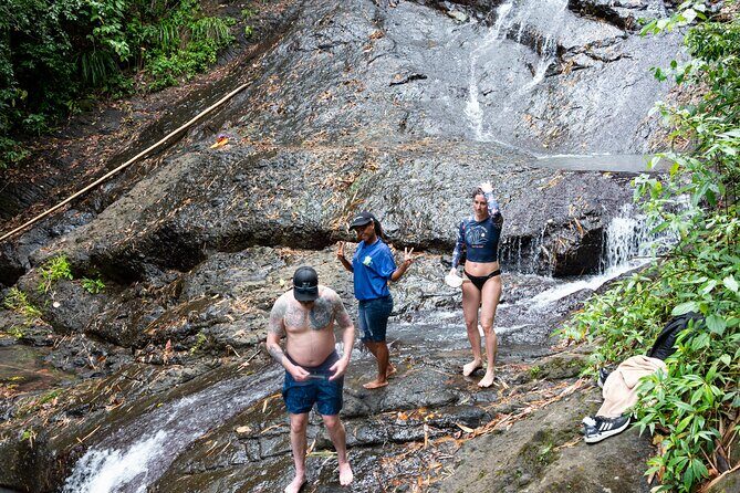 Rainforest Hike and Waterfall Safari - The Sum Up: Who Should Do This Tour?