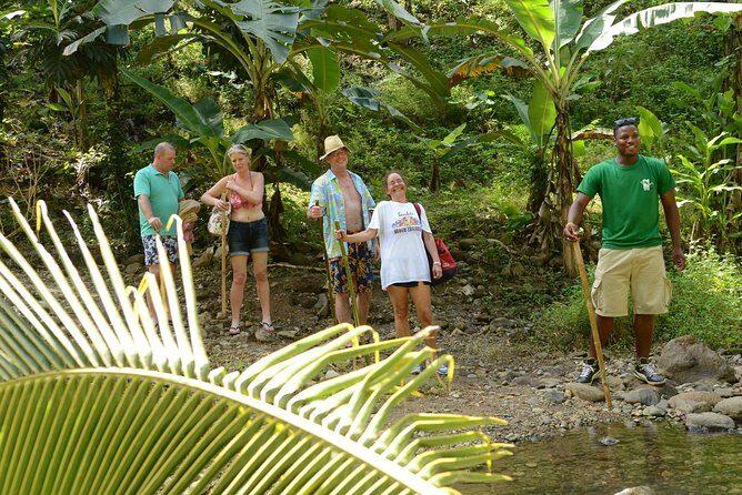 Rainforest Hike & Waterfall Safari St. Lucia From Castries - Who Should Consider This Tour?