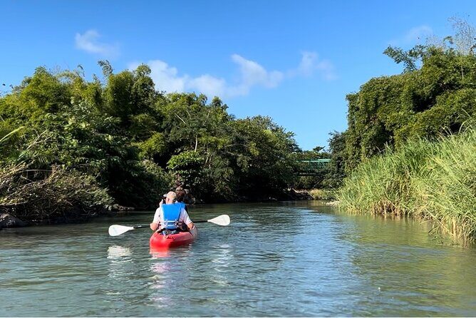 Rainforest Kayak Tour - Practical Tips for Your Rainforest Kayak Tour