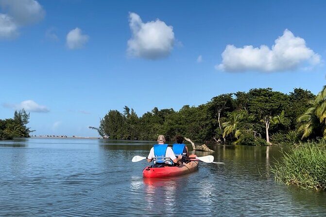 Rainforest Kayak Tour - Authentic Experiences and Local Flavor
