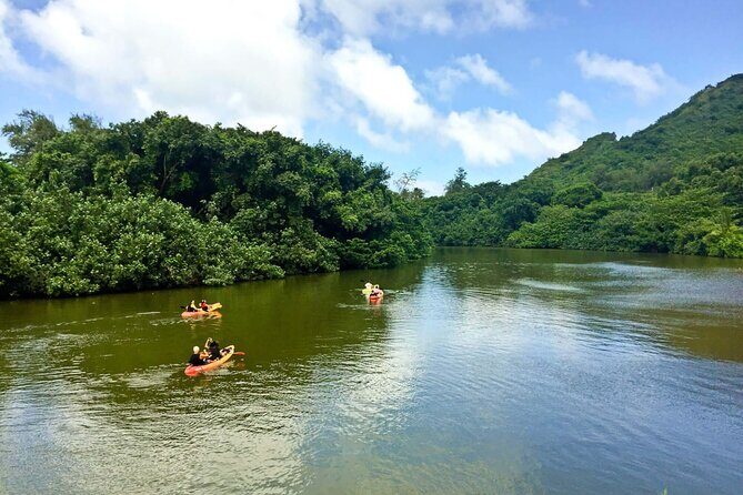 Rainforest River Kayak Self-Guided Kayak Tour - Verdict: Is It Worth It?