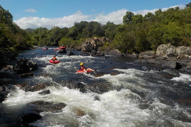 Rainforest River Tubing from Cairns - Who Should Consider This Tour?